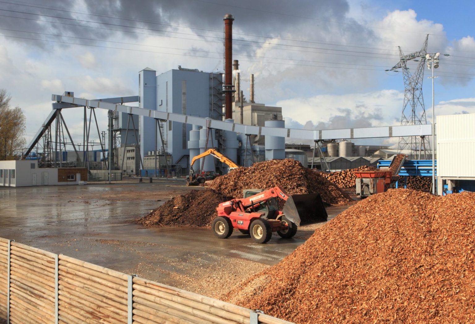 Biomass, the plant fuel that can help produce electricity