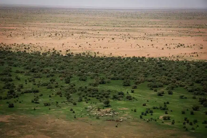 Unstoppable heat: The world breaks temperature record again