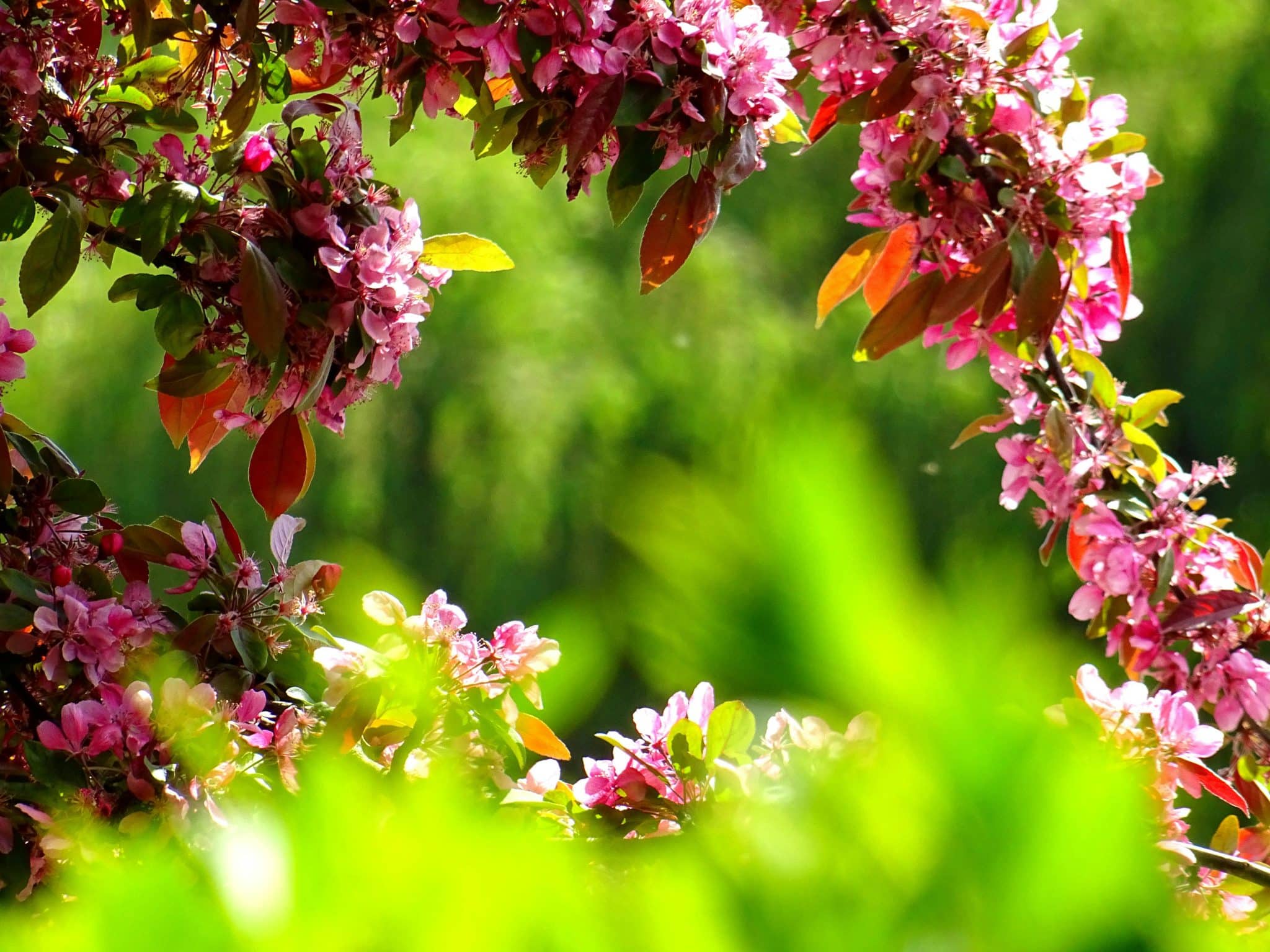 Climate-friendly gardens: the green trends that will define 2026 in the UK