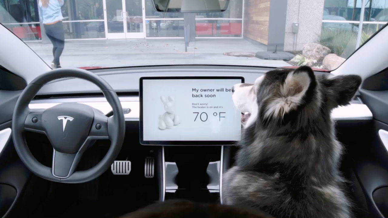 Tesla activates Sentry anti-theft system and Dog Mode