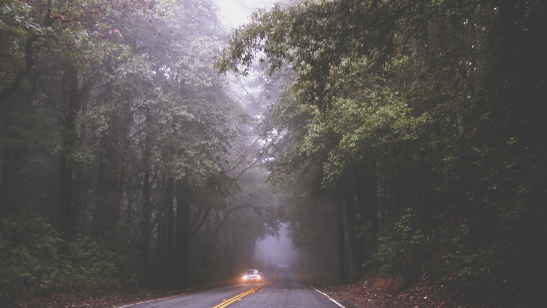 Cómo conducir con niebla con seguridad