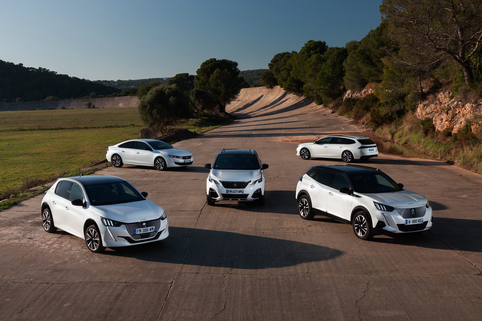 Estos son los 5 modelos electrificados de Peugeot para 2020