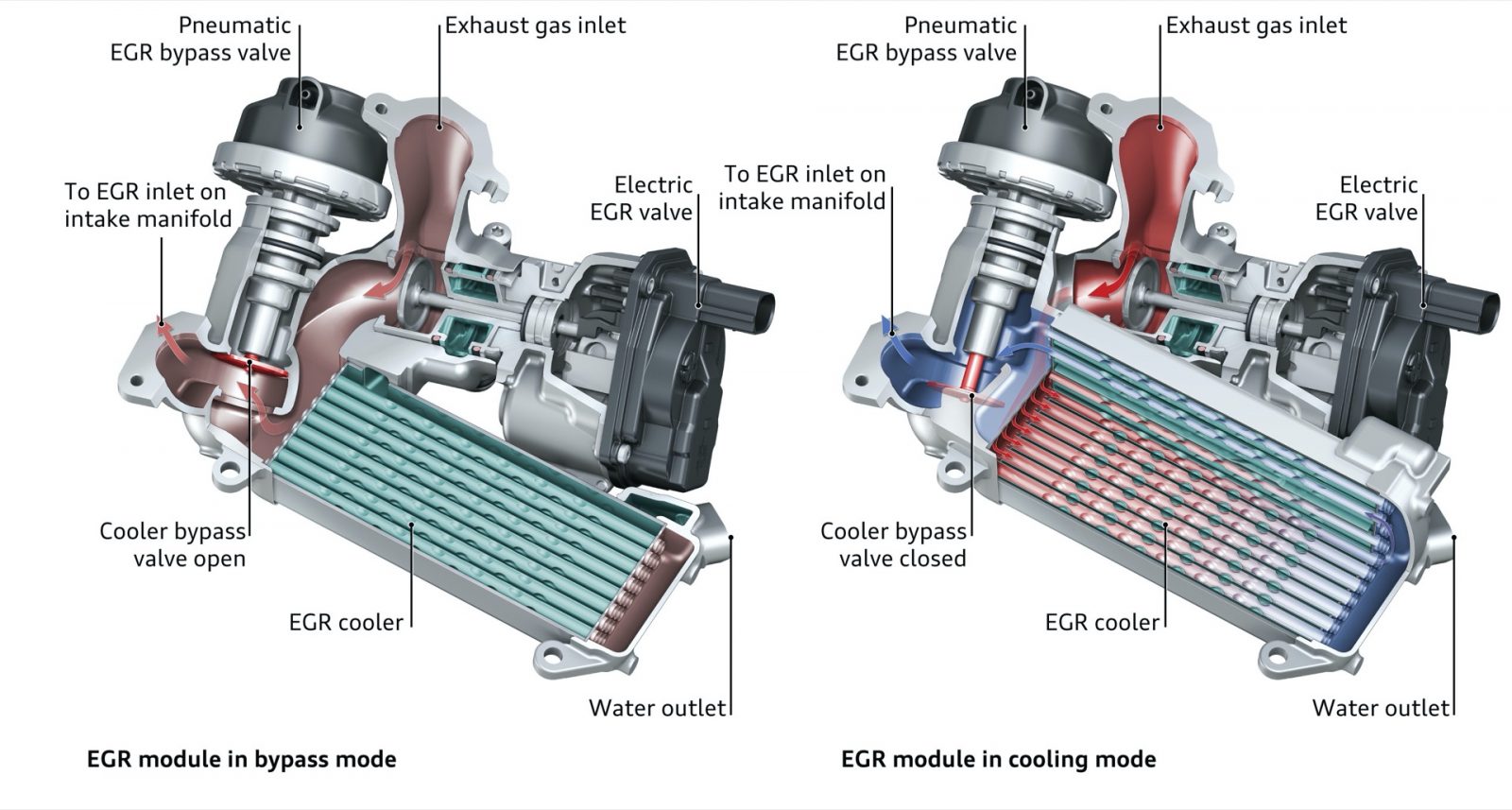 Frostschutzmittelverbrauch im TDI-Motor: die AGR