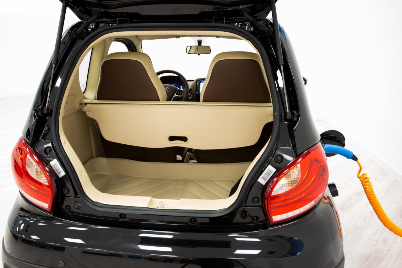 Invicta Electric D2s 01