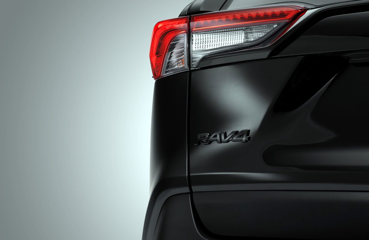 Toyota Rav4 Woodland Edicion Todoterreno (5)