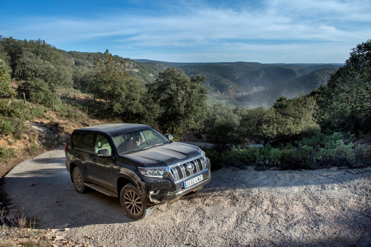 Toyota Land Cruiser (4)