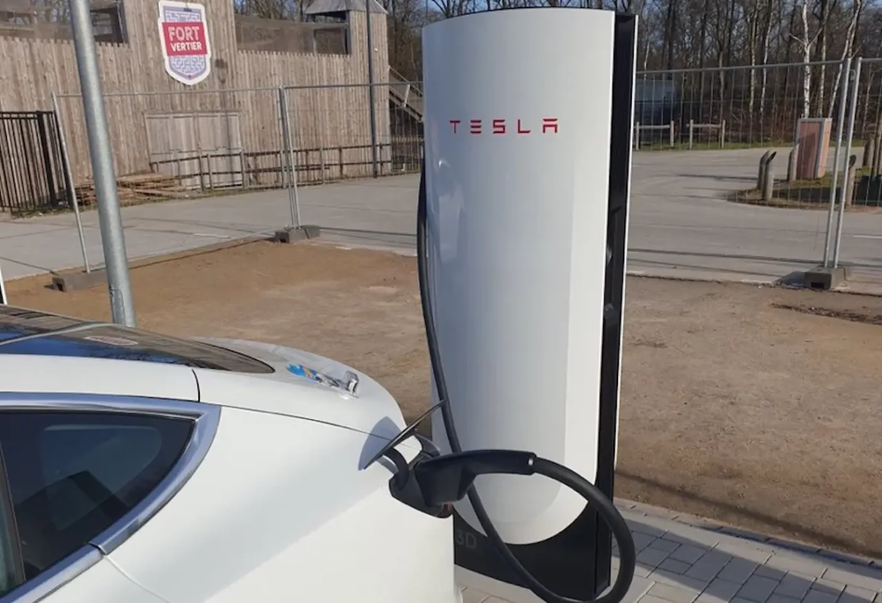 Tesla mounts ByD 'Blade' batteries in its Model Y RWD