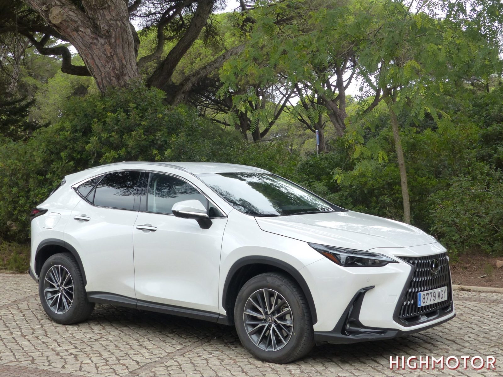 Prova Lexus NX 450h+, analizziamo i punti di forza di questo fantastico PHEV