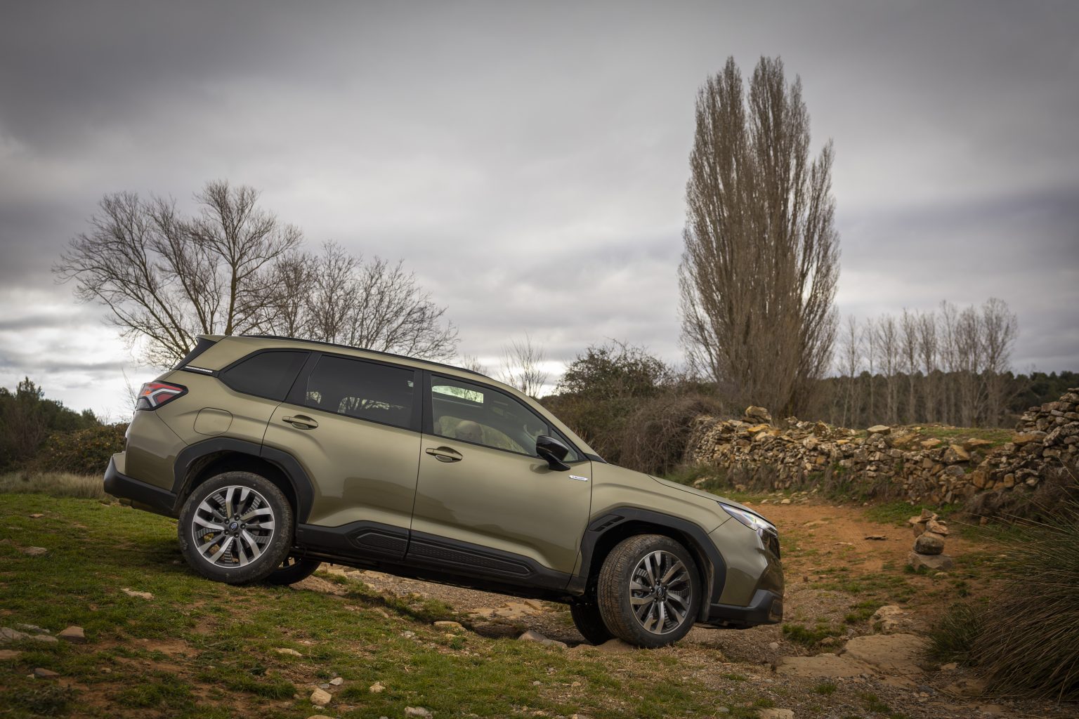 测试斯巴鲁森林人 2025：适合敢于上路的人的 SUV