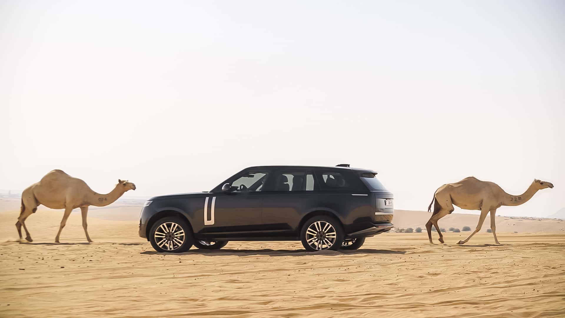 El futuro Range Rover eléctrico igualará a sus rivales con cuatro ...